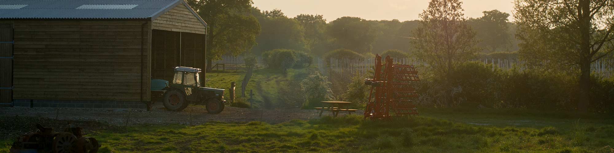 oxney-farm3-2000x500[1] - Oxney Organic