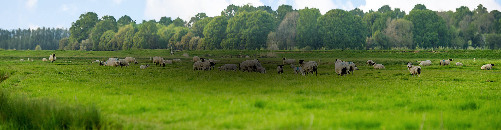 about-banner - Oxney Organic